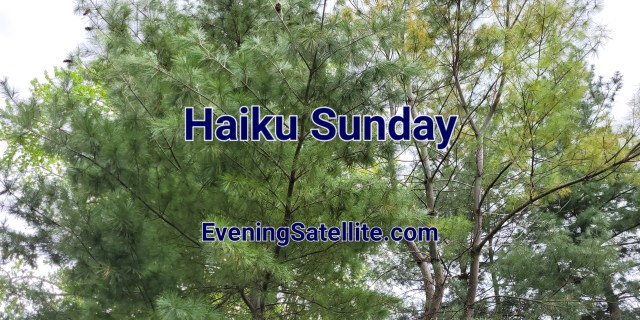 Haiku Wednesday – Village – Evening Satellite Publishing