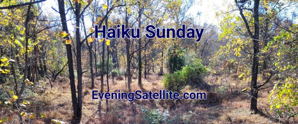 Haiku Sunday – Patriot – Evening Satellite Publishing